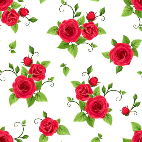 Rose Budding Illustrations Royalty Free Vector Graphics And Clip Art