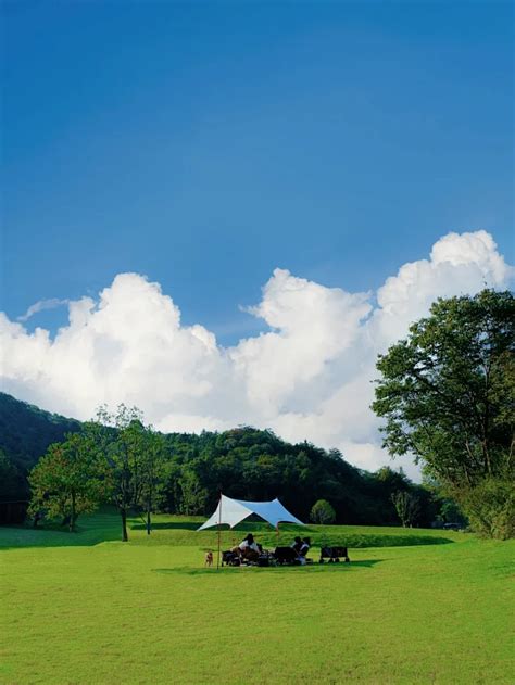 去草坪撒野吧！杭州市内超开阔草坪，地铁可到 小红书 花瓣网