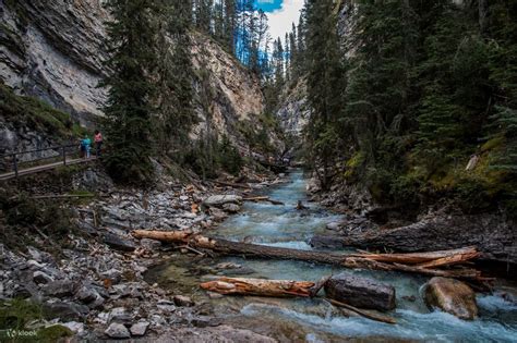 Moraine Lake Canoeing And Lake Louise Klook