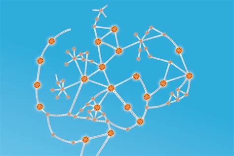 The Roots Of Neural Network How Caltech Research Paved The Way To