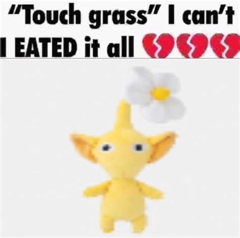 Random Fucking Images I Have Rpikmin