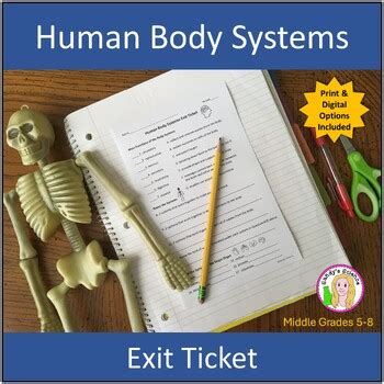 Human Body Systems Exit Ticket By Sandy S Science TPT