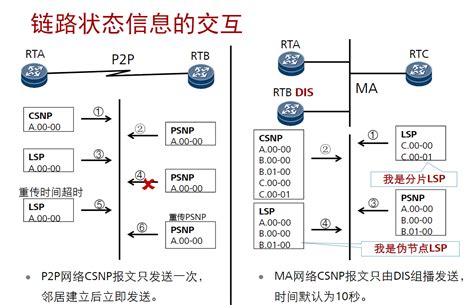 十二、中间系统到中间系统is is（intermediate system to intermediate system） 中间系统到中间系统