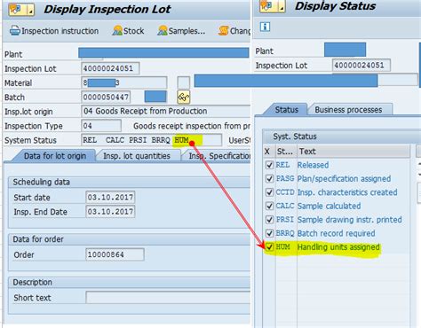 Usage Decision With Hum And Wm Active Part I Sap Community