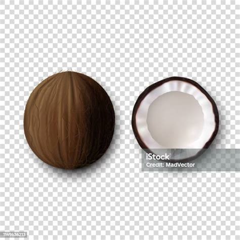 벡터 3d 현실적인 전체 및 반쪽 코코넛 아이콘 설정 근접 촬영에 고립 된 투명 한 배경 상단 보기에 반으로 코코넛의 디자인 서식 파일 코코넛 오일에 대한 스톡 벡터 아트