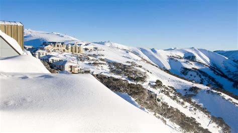 Harrietville To Mt Hotham Everything You Need To Know