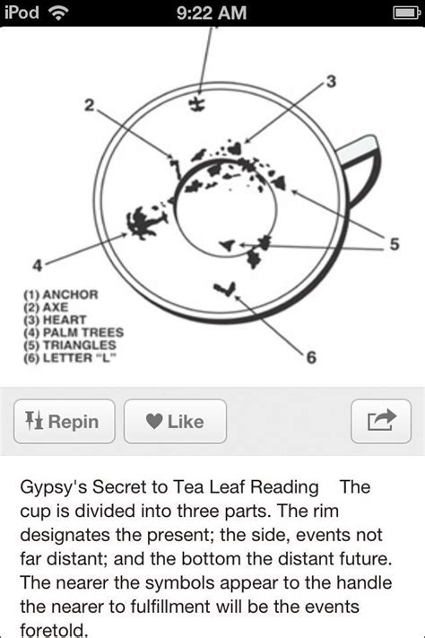 How To Read Tea Leaves Harry Potter Robert Miles Reading Worksheets