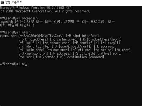 윈도우 10에서 Openssh 사용하기 · 기억하기 위한 개발노트