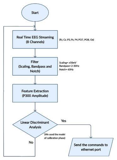 The Algorithm Flowchart For Calibration Phase For The P300 Proposed
