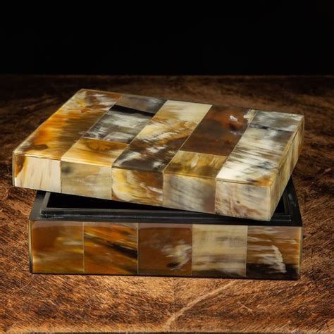 Buffalo Horn Box Bubalus Bubalis 205×155×75 Mm Catawiki