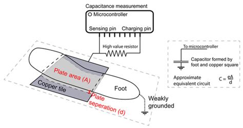 Identity And Gender Recognition Using A Capacitive Sensing Floor And Neural Networks Identity And Gender Recognition Using A Capacitive Sensing Floor And Neural Networks