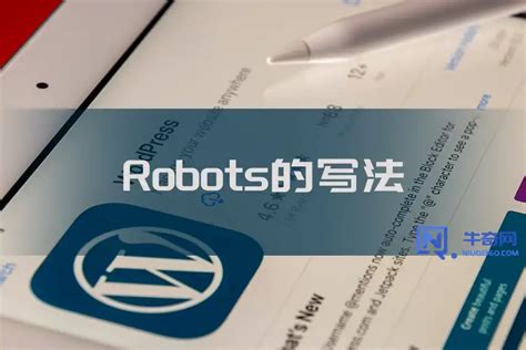 WordPress网站robots的写法教程 牛奇网
