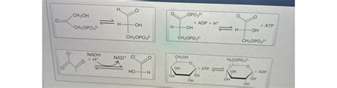 Solved Classify Each Metabolic Reaction As An