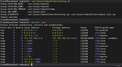 Tomcat双实例(两种方法)tomcat 双活 Csdn博客 Tomcat双实例(两种方法)tomcat 双活 Csdn博客
