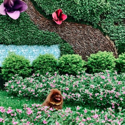 Annabelle Hell Youtube