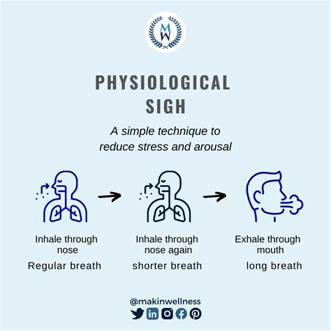 The Physiological Sigh Is A Technique That Slows The Heart Rate Down