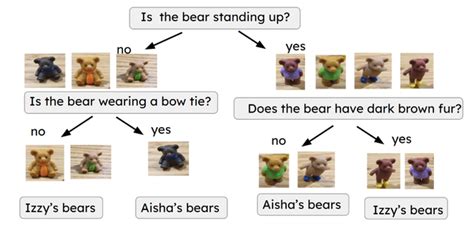 Classification Keys To Identify Animals Ks2 Y4 Science Lesson