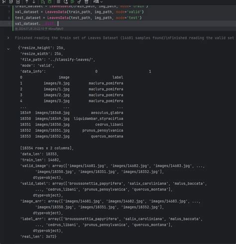 Torchutilsdatadataloader Cantnot Iterdataloader Data Pytorch Forums