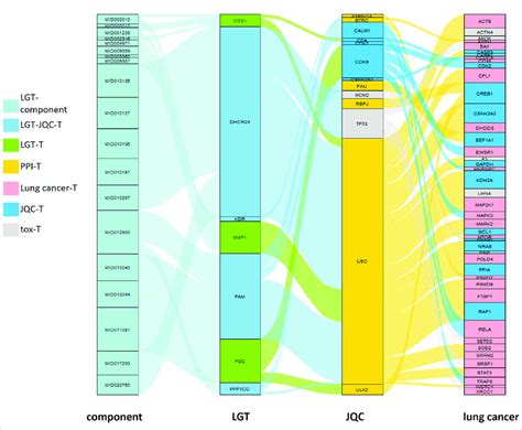 Quantitative Efficacy Toxicity Network Of Lgt Download Scientific