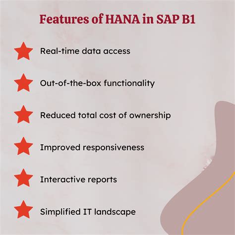 What Is Sap Business One B1 Hana Skysurge