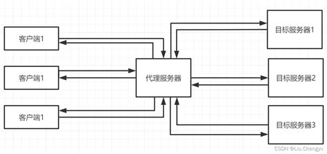 关于nginx服务器的一些粗略认识nginx Agent Csdn博客