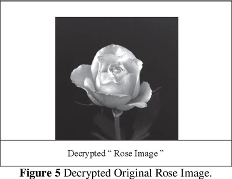figure 5 from dip using image encryption and xor operation affine