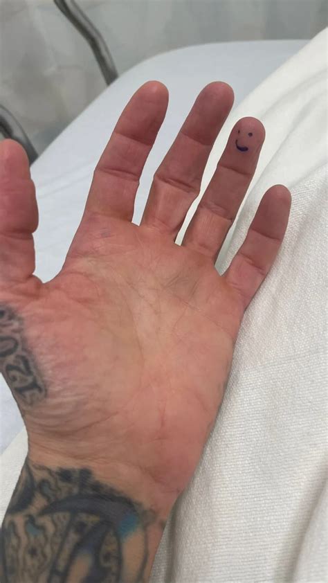 Concierto De Blink 182 En Colombia En Duda Infobae