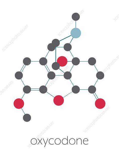Oxycodone Structure Oxycodone Or Chemical Structure Of Oxycodone