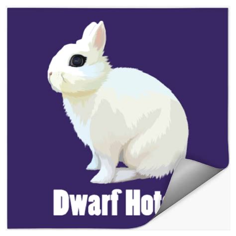 Dwarf Hotot Rabbit Sold By Gruesome Nettie Sku 32138901 Printerval