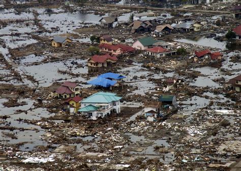 [100 ] Tsunami Pictures