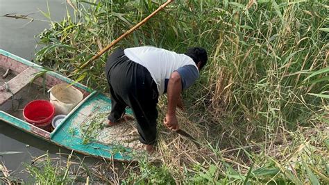 أبو النوم قصة إسكندرانية تتحدى الصعوبات فجرًا لنسج الجمال من البوص