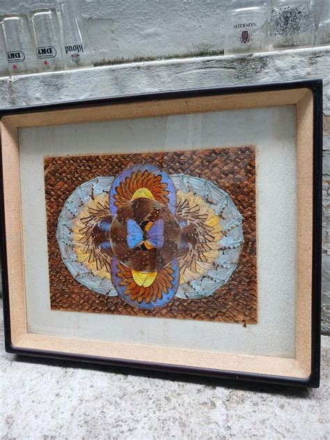 나비 액자 세컨웨어헬로마켓