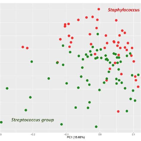 principal component analysis pca score plot representing the