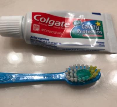 How Much Toothpaste Should I Use Williamsburg Virginia