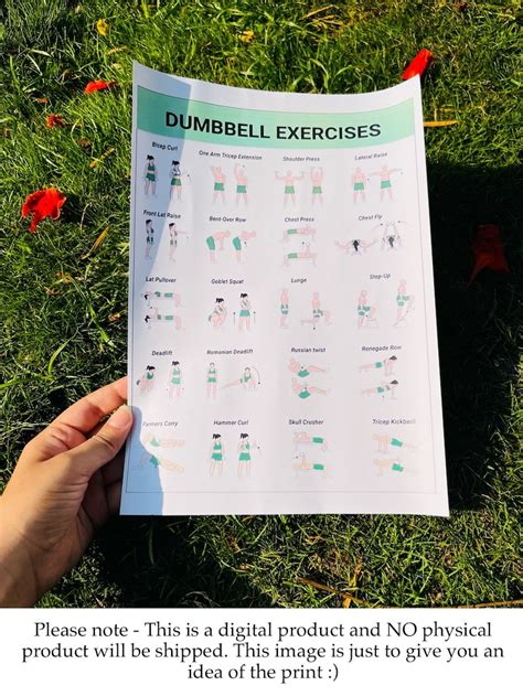 Dumbbell Workout Dumbbell Workout Chart Dumbbell Exercises Dumbbell Exercise Chart Dumbbell