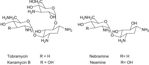 Chemical Structures Of Tobramycin And Its Major Impurities Kanamycin Download Scientific