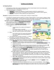Basics Of Cell Signaling On 2021 01 11 23 22 47 Pdf The Basics Of Cell Signaling Cell