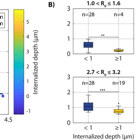 Excursion Amplitude And Internalized Depth A Microbubble Excursion