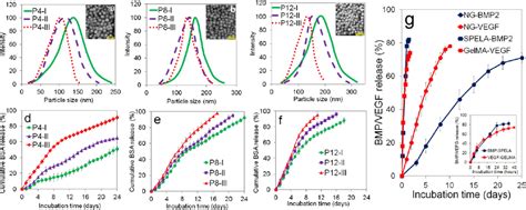 Figure 2 From Spatiotemporal Release Of Bmp 2 And Vegf Enhances Osteogenic And Vasculogenic