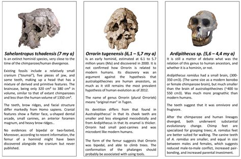 Orrorin Tugenensis Skull