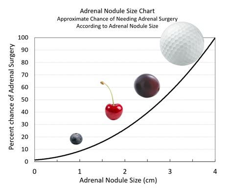 Lung Size Chart