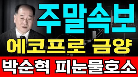 긴급속보 🚨 에코프로 금양 박순혁작가 피눈물 호소 금투세 청원 필참 전쟁입니다 에코프로 에코프로비엠 에코프로머티 포스코