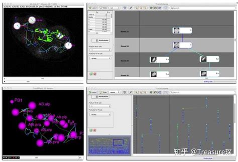 imagej实用技巧——2d细胞自动追踪 插件篇 知乎