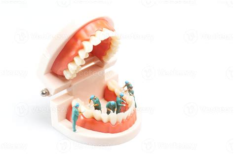 Miniature People Dentist Repairing Human Teeth With Gums And Enamel