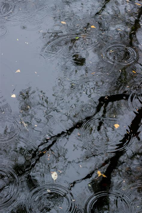 Rain Puddle Hd Water Puddle Isolated Stock Illustrations 6 123