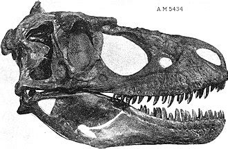 Daspletosaurus Wikipedia