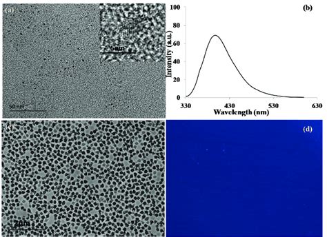 A Tem Image Of Gqds B Fluorescence Spectroscopy Of Gqds Under 320