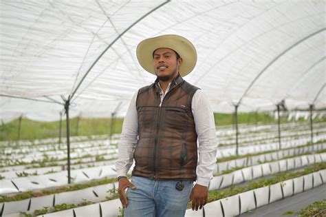 We Want The Substrate To Have Thick Fibers To Ensure Enough Oxygenation