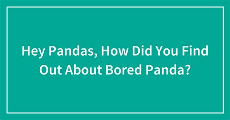 Hey Pandas, How Did You Find Out About Bored Panda? (Closed) | Bored Panda