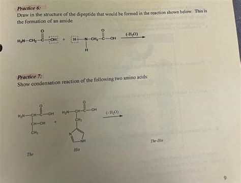 Solved Practice 6 Draw In The Structure Of The Dipeptide